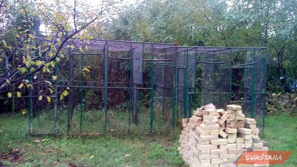 kavez za papagaje