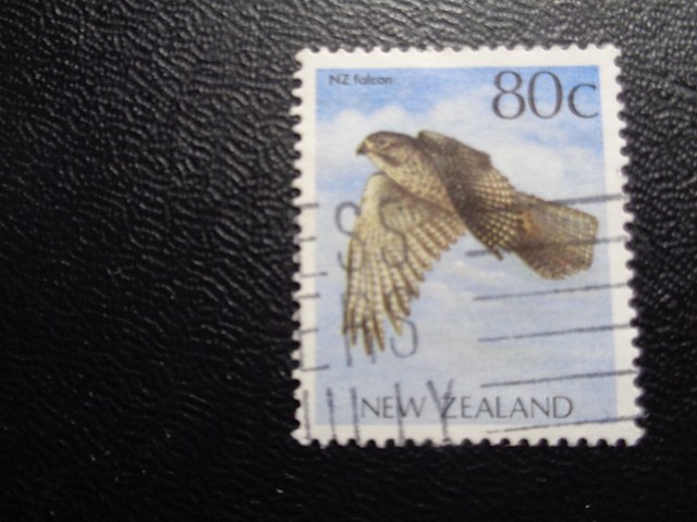 nova 37 new zeland