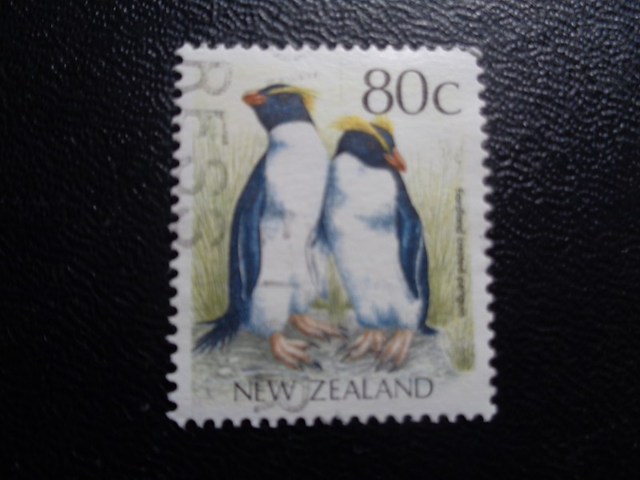 nova 36 new zeland