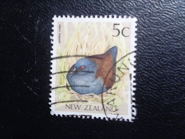 nova 32 new zeland