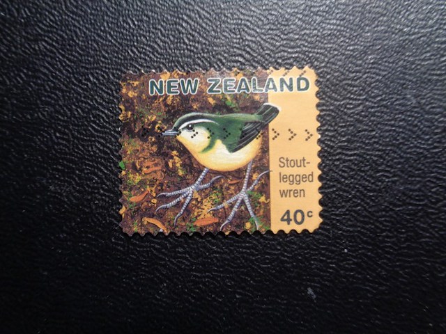 nova 31 new zeland