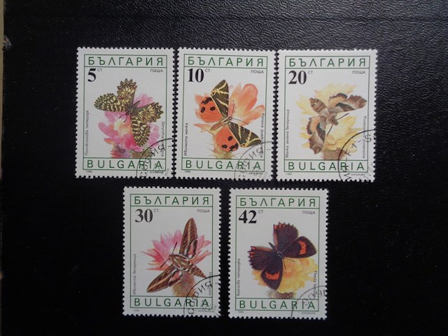 nova 6 bugarska leptiri kratka serija
