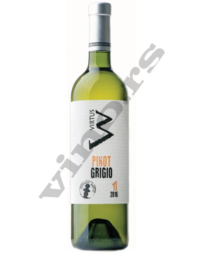 Virtus Pinot Grigio