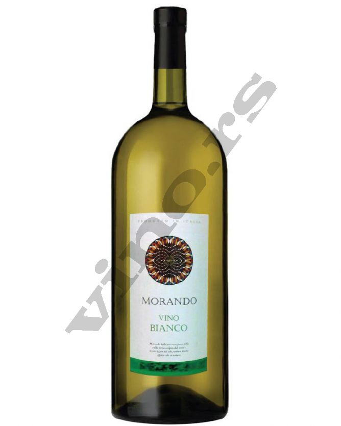 Casa Vinicola Morando Vino Bianco Magnum