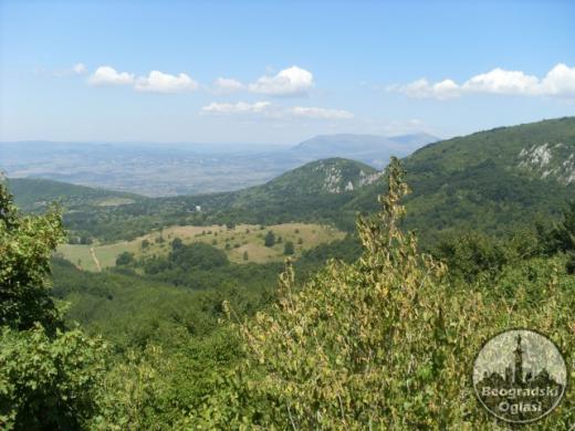 Lekovito bilje sa Rtnja i Ozrena