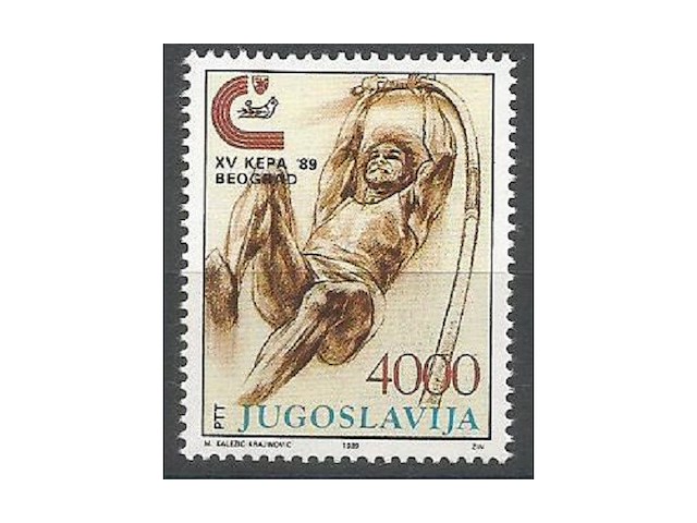 XV Kup evropskih prvaka u atletici 1989.,čisto