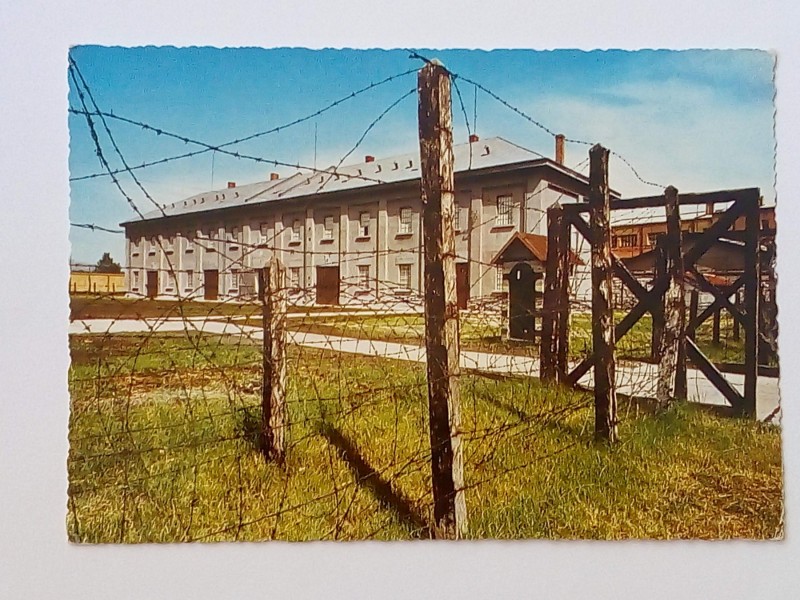Koncentracioni Logor - 12. Februar - Nis -