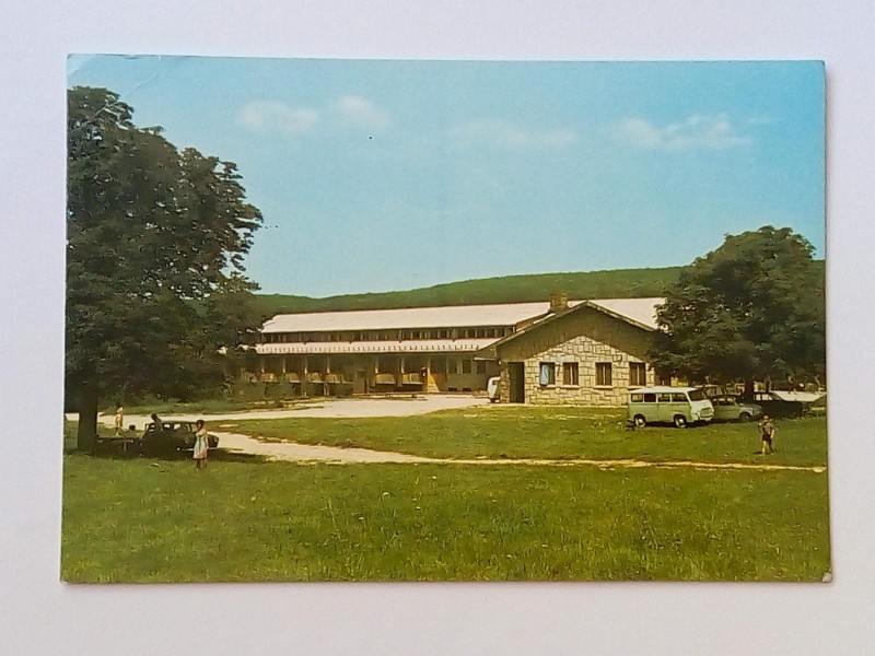 Andrevlje Kod Beocina - Fruska Gora - 1971.godine -