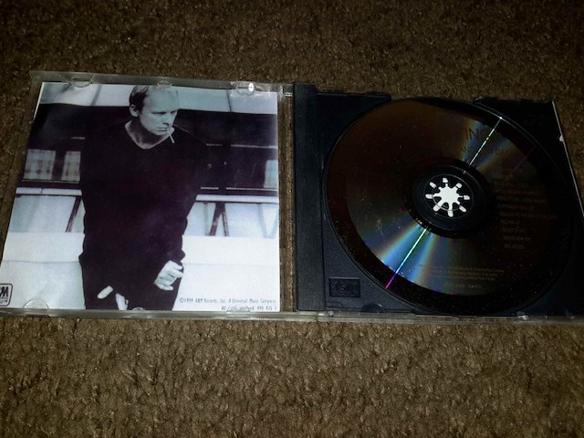 Sting - Brand new day , BG