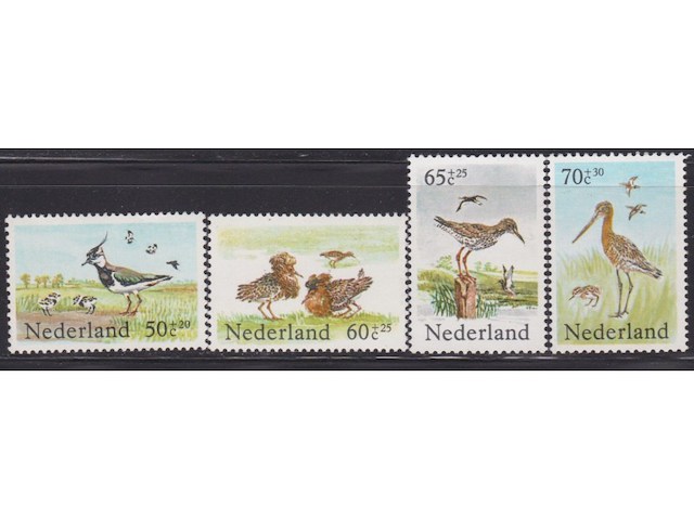 Holandija Fauna-Ptice cisto