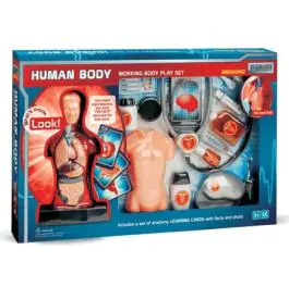 Anatomski set ljudskog tela veliki E216 MEHANO