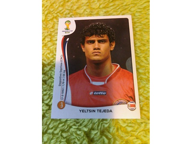 Panini FIFA 2014 Brazil sličica broj 293