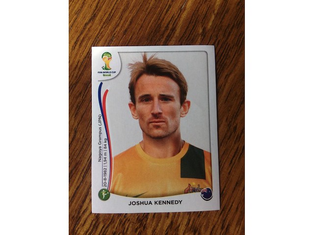 Panini FIFA 2014 Brazil sličica broj 183