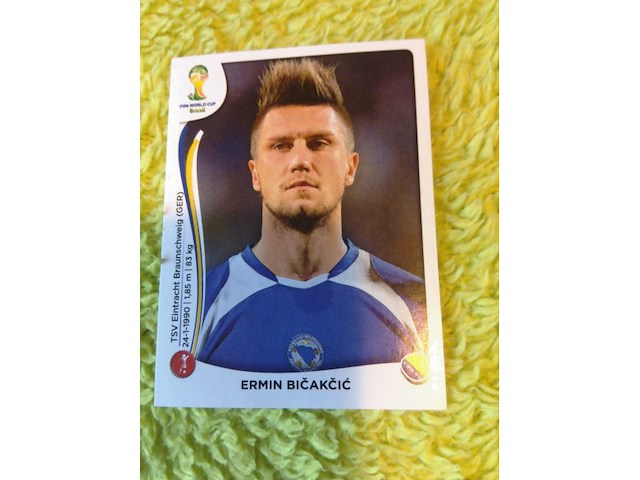 Panini FIFA 2014 Brazil sličica broj 436