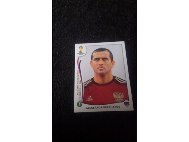 Panini FIFA 2014 Brazil sličica broj 620