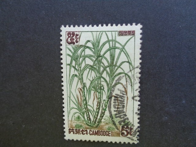 razno 165 cve`e cambodga