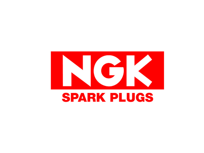 Kablovi za svećice NGK 2995 ( ZEF1201 4.9505 )