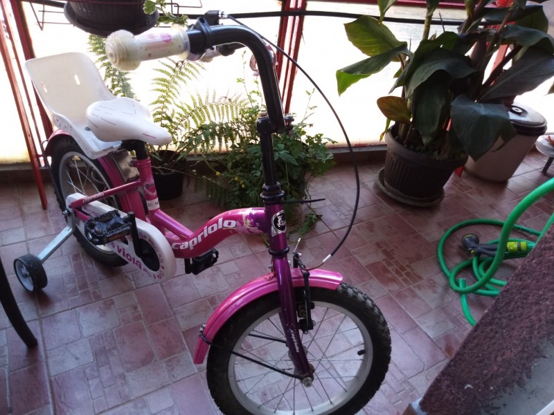 Capriolo bicikl zenski, za decu