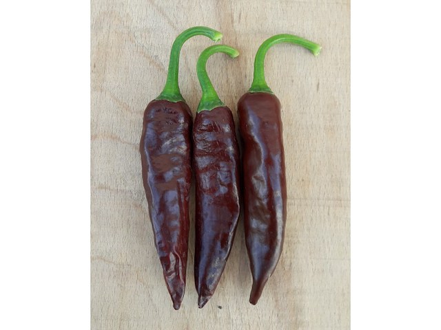 Ethiopian Brown Barbere - Chili pepper 20 semenki