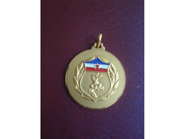 sampionat SFRJ 1973 rvanje zlatna medalja