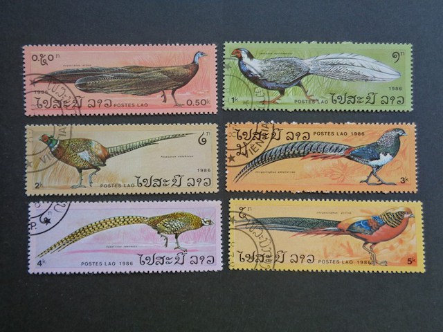 razno 375 ptice fazani kratka serija