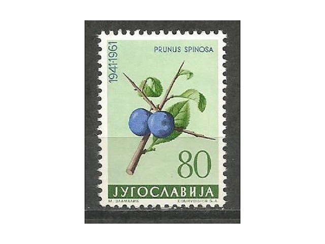 Flora 80 din 1961.,čisto