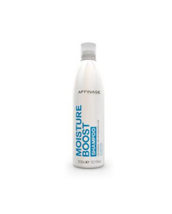 Moisture BOOST šampon za čišćenje i rehidrataciju suve kose