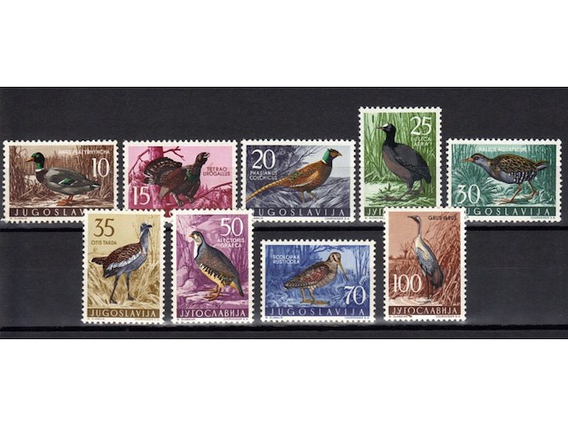 III Fauna 1958.,čisto