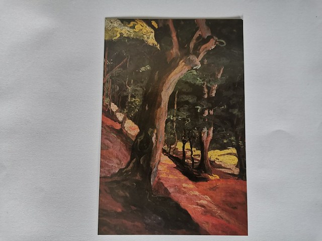 Razglednica - Nadezda Petrovic, Drvo u sumi, 1902