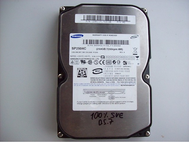 250 Gb Samsung sataII 3.5 inca - 100% SVE SP2504C