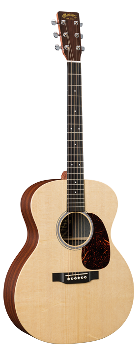 Martin Guitars GPX1AE