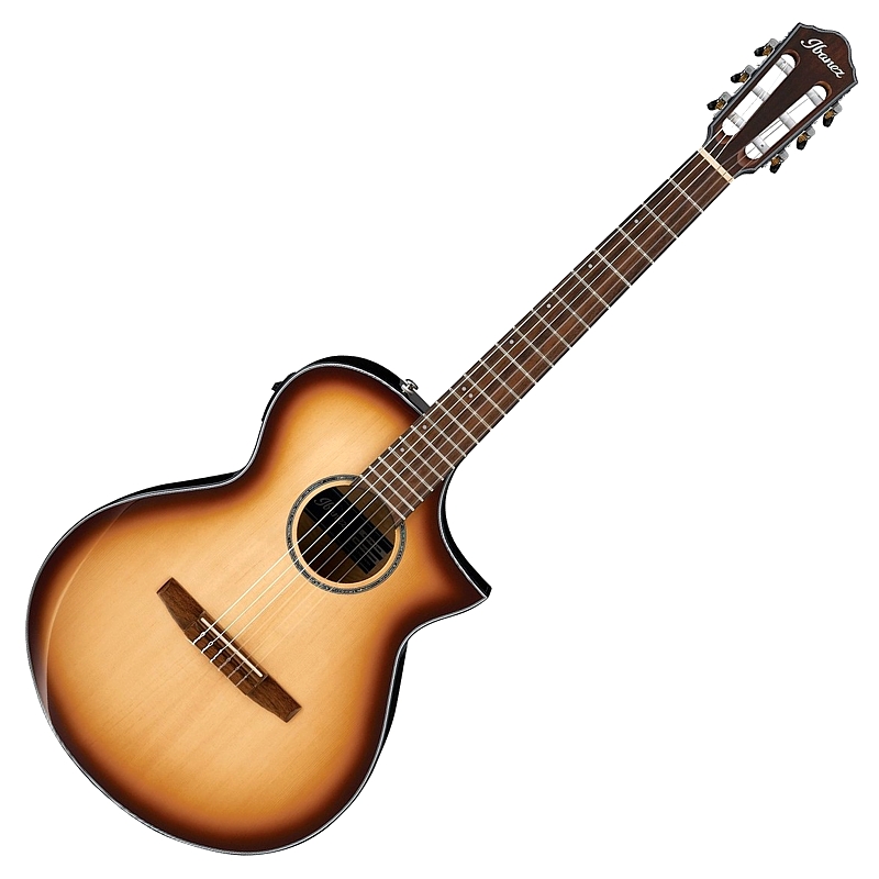 Ibanez AEWC300N-NNB klasična gitara