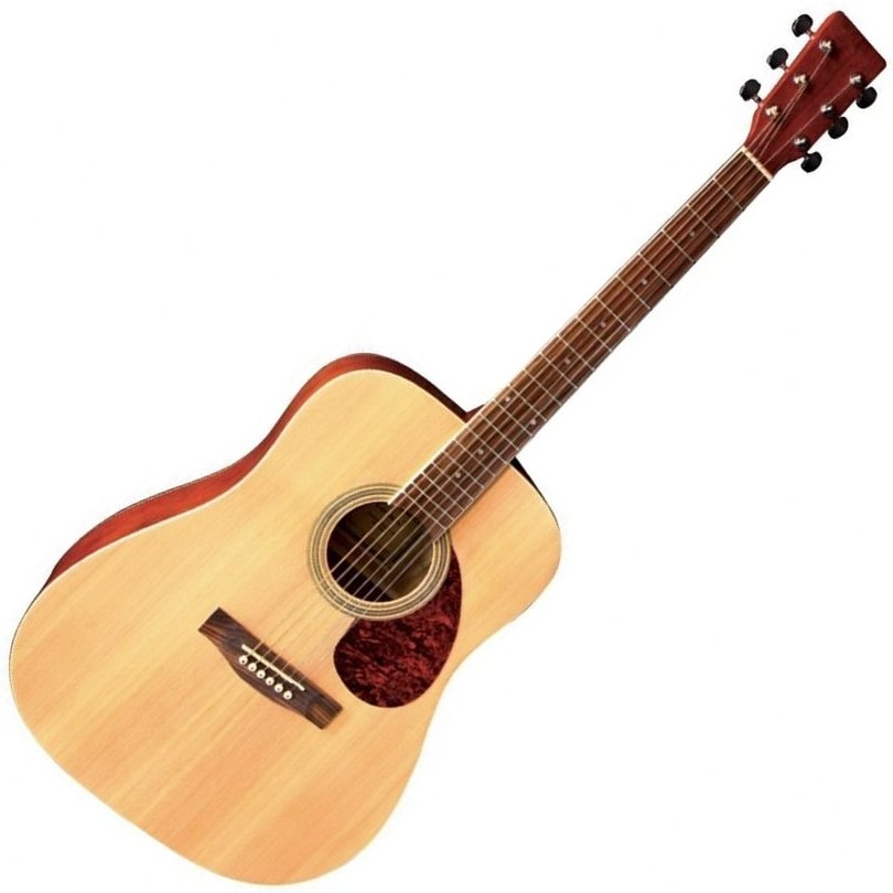 VGS D-10 NAT akustična gitara