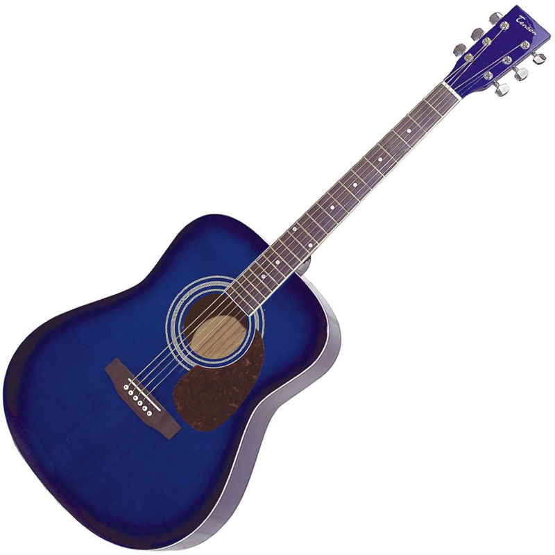 VGS D-10 BL akustična gitara