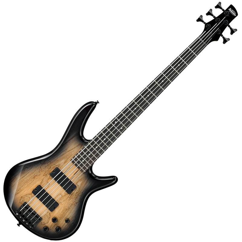 Ibanez GSR205SM-NGT bas gitara