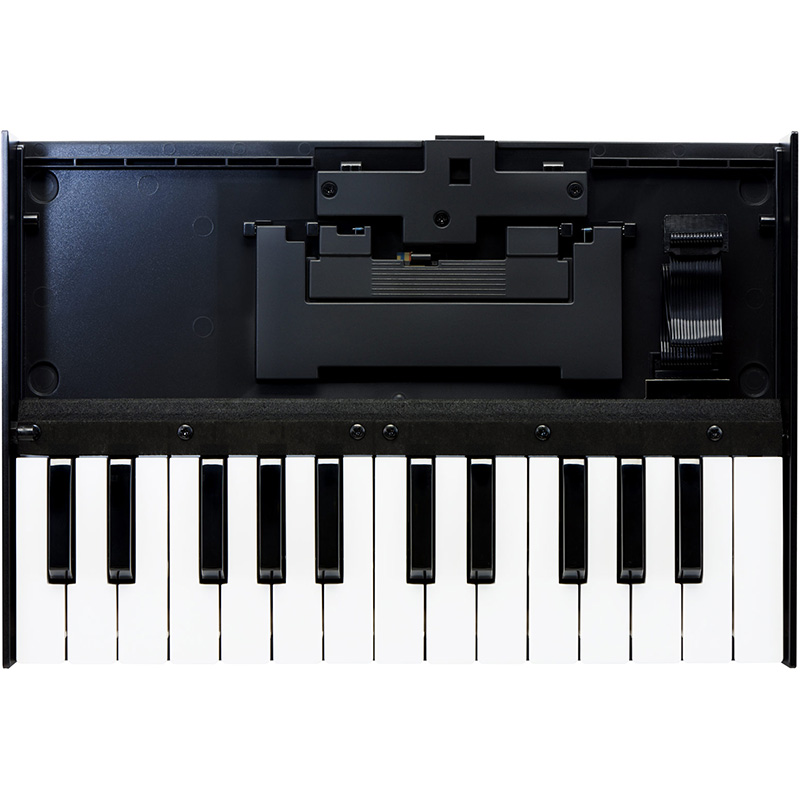 Roland K-25m Boutique Keyboard Unit