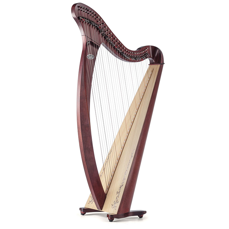 Salvi Donegal Professional lever harfa