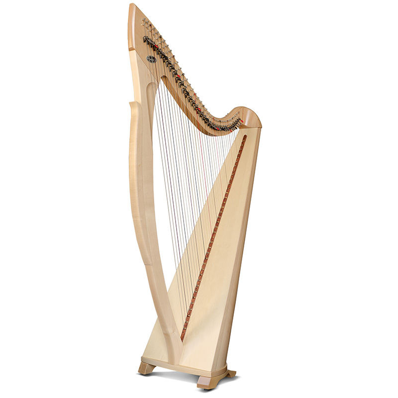 Salvi Egan electroacoustic harfa