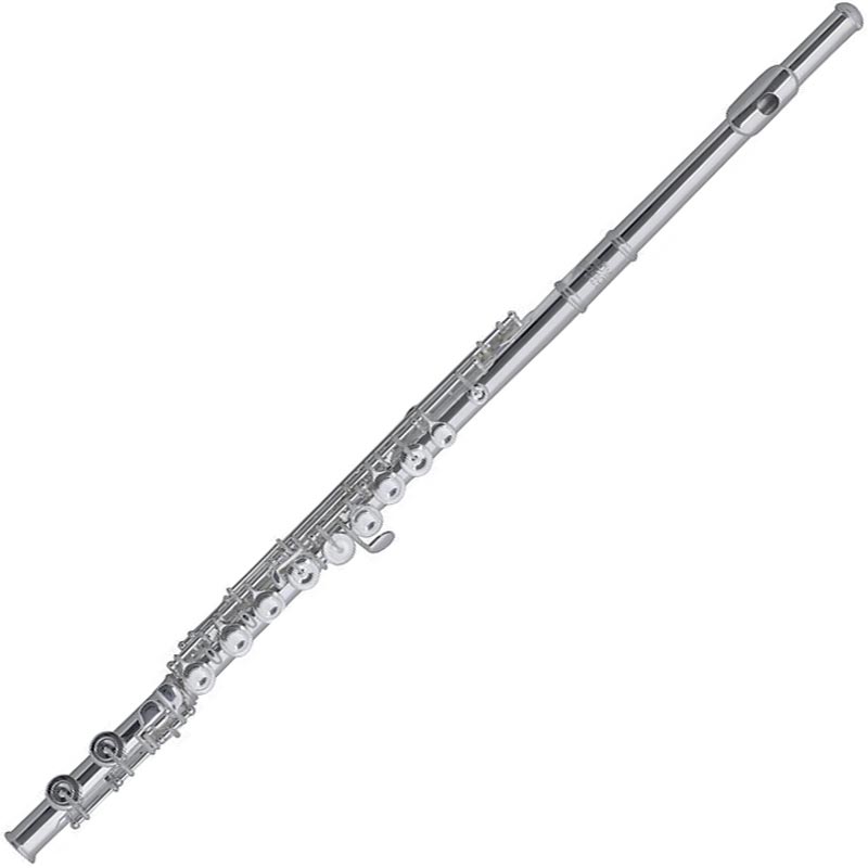 Roy Benson FL-602E flauta