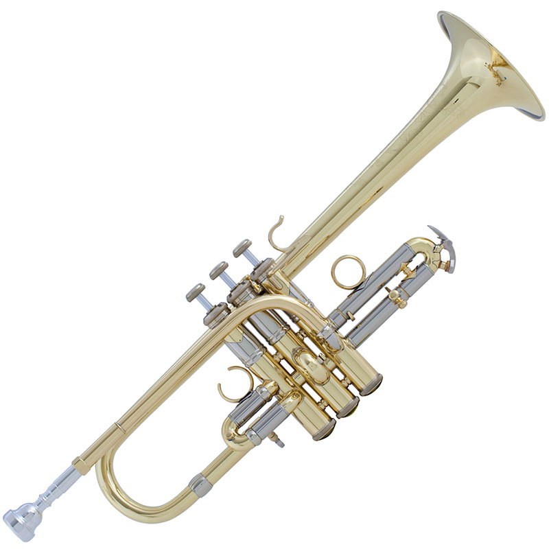 Vincent Bach ADE190 trube