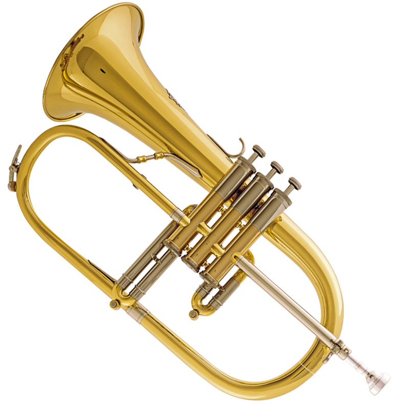 Alexander Model 1070 Bb flugelhorn gold brass
