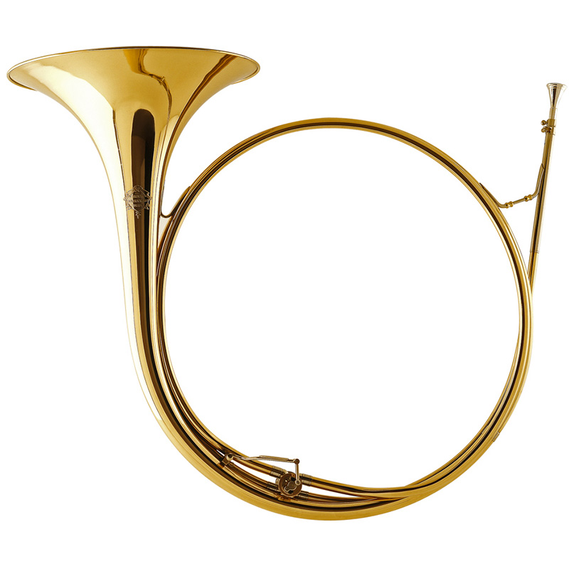Alexander Model 1177 Parforce Horn in Bb/Eb gold brass