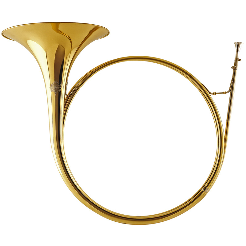 Alexander Model 1179 Parforce Horn in Eb gold brass