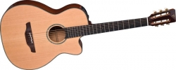 Akustična Gitara Takamine TF740FS