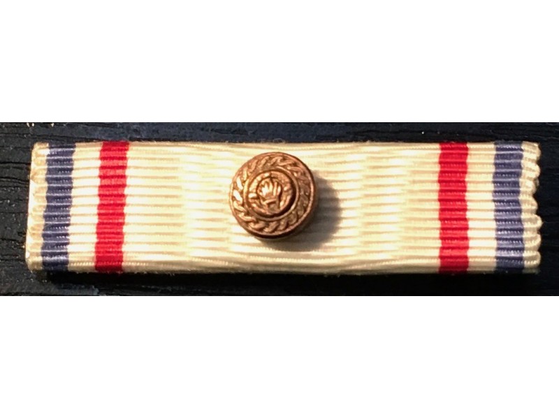 zamenica