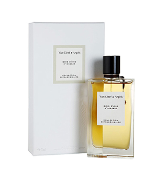 Collection Extraordinaire Bois d Iris Van Cleef&Arpels parfem
Van Cleef&Arpels parfem
eau de parfum, 75 ml