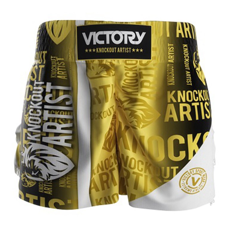 Victory Golden Lion Kickboxing Shorts