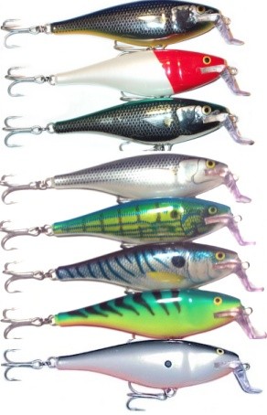 Rapala Shallow Shad Rap 5