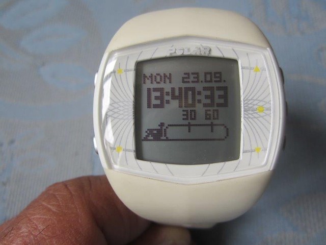 POLAR FA20 Activity Computer