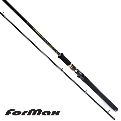 ForMax Fortis Cast 2.58m 40-80gr